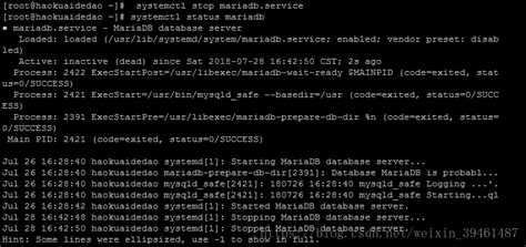 Starting Mysql Database Server Mysqld Ricejord