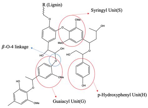 Kraft Lignin Electro Oxidation Under Ambient Temperature And Pressure