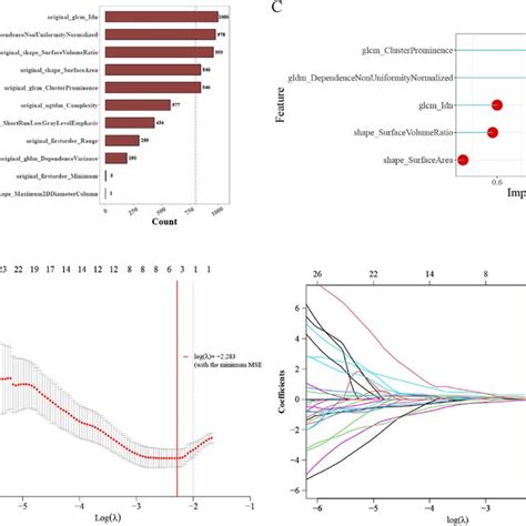 Feature Selection Of The Radiomic Modela Features Histogramb Feature
