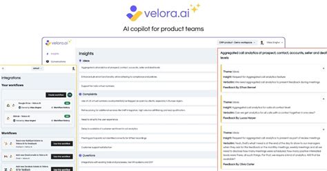 Flash By Veloraai Your Ai Customer Voice Analyst