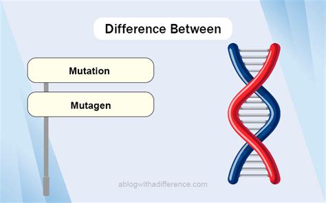 Difference Between Mutation And Mutagen A Blog With A Difference