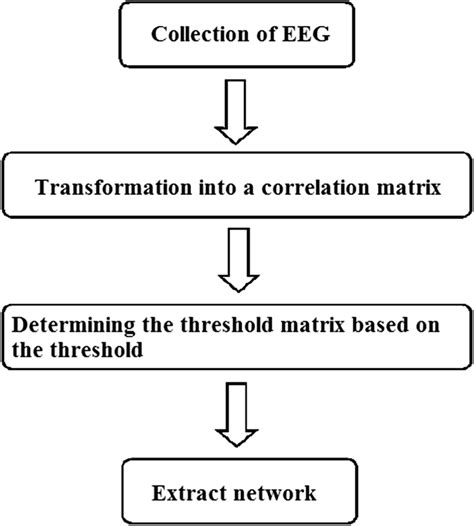 Constructing A Functional Network Method From Eeg Data Download Scientific Diagram