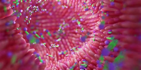 Gut Microbiome Testing Worth The Hype Mynutriweb