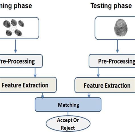 Pdf Biometrics Fingerprint Recognition Using Discrete Cosine Transform Dct