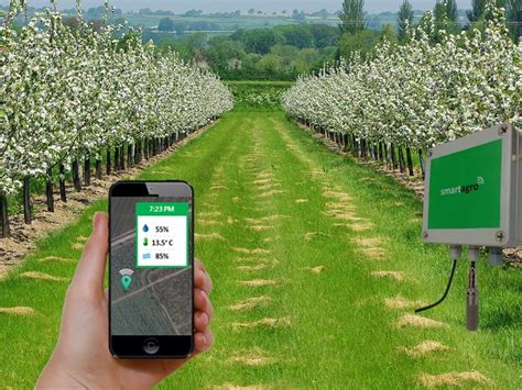 Los Agro Sensores Tecnología Que Facilita La Producción Agrícola