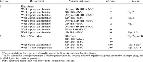 Experimental Groups Sample Size And Figures Download Table