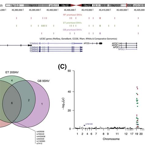 A The Genomic Location Of Single Nucleotide Variants Snvs Selected Download Scientific
