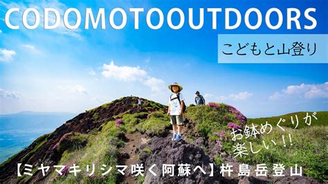 阿蘇五岳の杵島岳 きしまだけ にこどもと登山お鉢めぐりが出来る 親子で楽しむ低山ハイク ミヤマキリシマ咲く阿蘇山へ YouTube