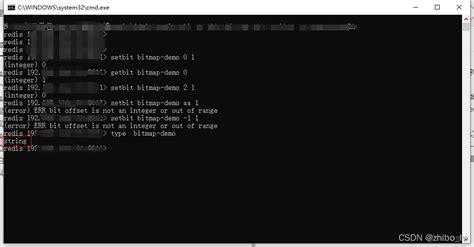 Redis Bitmap 详解 Redis Bitmap原理boyboy的技术博客51cto博客