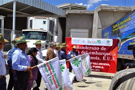 La Producción De Nopal Y Tuna Genera Ganancias Aproximadas De 60 Mil