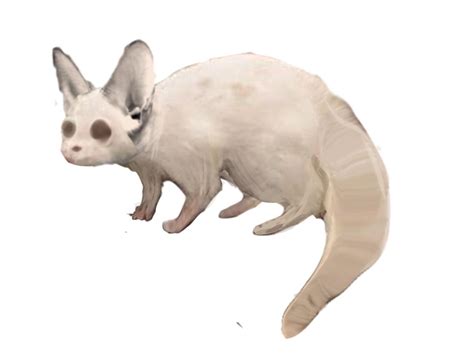 413 Best Slugcat Images On Pholder Rainworld Oneshot And Hollow Knight