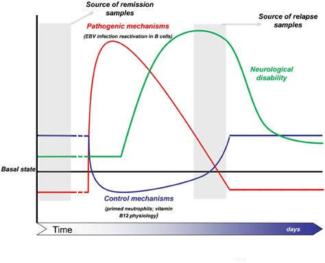Theoretical Model For The Relapsing Remitting Molecular Dynamics