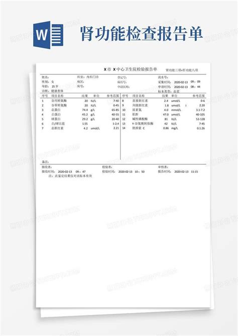 肾功能三项肝功能八项检查报告Word模板下载 编号qvnvgekp 熊猫办公