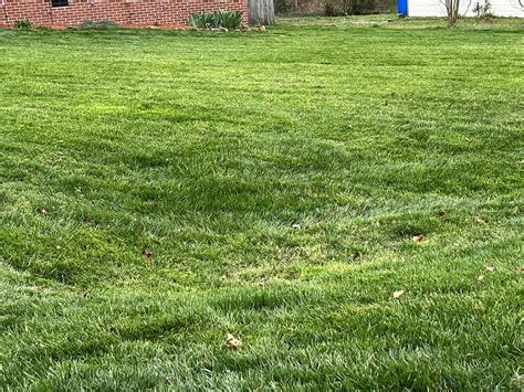 Lawn Care Maintenance Distinct Lawns