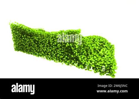 Vj Loop Vfx Particle Based 3d Fluid Simulation 3d Liquid Particles Particle Flow Fluid