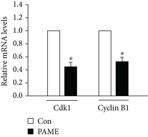 Pame Induces G2m Cell Cycle Arrest In Hbm Mscs The Cells Were Treated