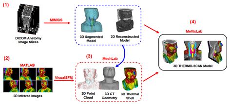 Sensors Free Full Text 3d Multi Modality Medical Imaging Combining Anatomical And Infrared
