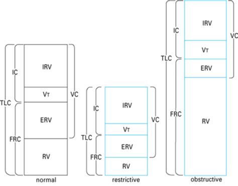 Lung Volumes Capacities Lab Values And Testing Flashcards Quizlet