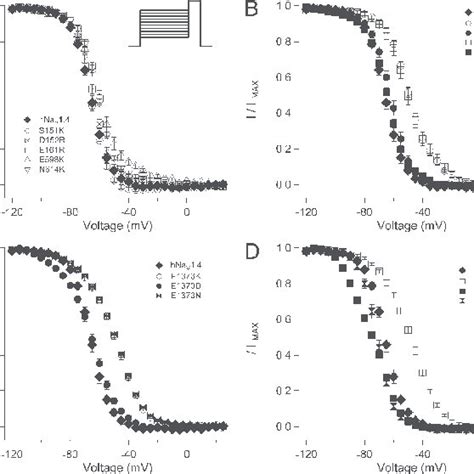 Steady State Fast Inactivation In Hna V 14 And For Enc Mutations