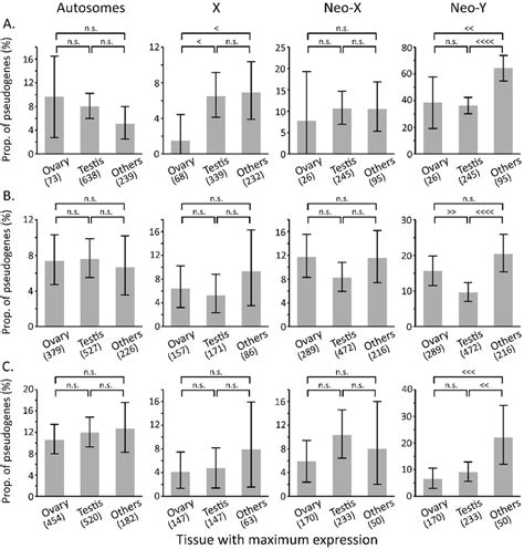 Relationship Between Spatiotemporal Gene Expression Pattern And Download Scientific Diagram