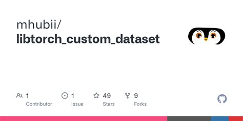 Github Mhubiilibtorchcustomdataset