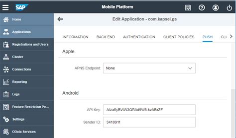 Getting Started With Kapsel Part 4 — Pushsp13 Sap Community