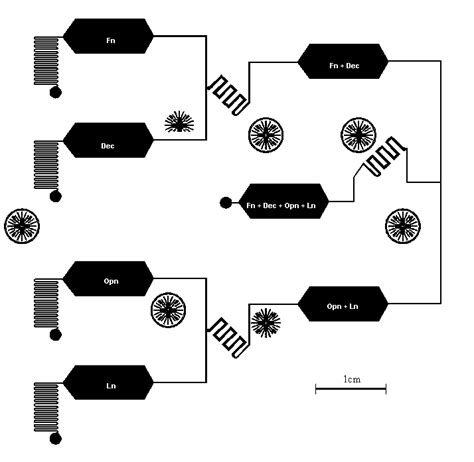 1 Schematic Diagram Of Microdevice And Surfaces Created Within Download Scientific Diagram
