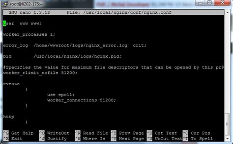Wordpress With Nginx