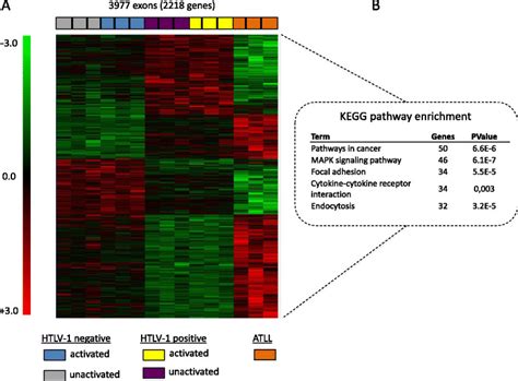 Exon Based Hierarchical Clustering Hierarchical Clustering Analysis