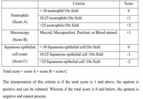Clin Lab Block 3 Flashcards Quizlet