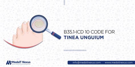 Medsitnexus Medsit Nexus