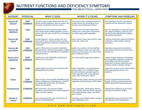 Vitamins And Minerals Deficiency Signs And Symptoms At Laura Black Blog