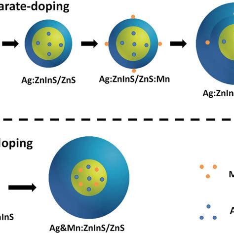 Sketch For The Synthesis Of Separate Doping Ag Znins Mn Zns Qds A And Download Scientific