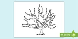 Tree Outline Drawing Activity Colouring Resources Twinkl