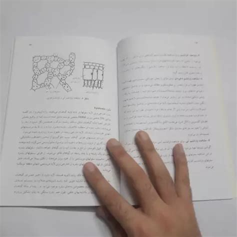 خرید و قیمت کتاب گیاه شناسی1 عملی نوشته روح انگیزنادری چاپ1391 از غرفه