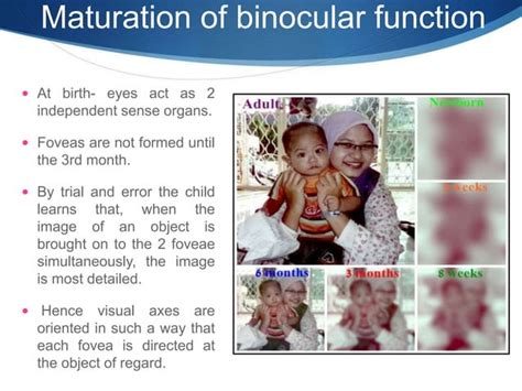 Introduction To Binocular Single Vision Bsv Pptx