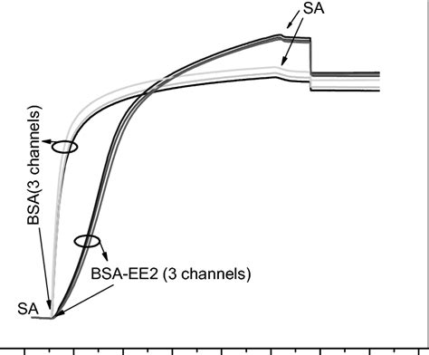 Typical Sensorgram Showing Sensor Response To Immobilization Of Bsa Ee2
