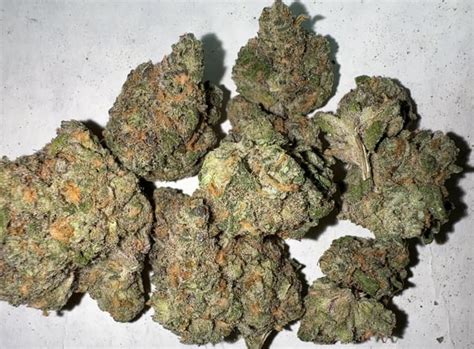 Flow Gardens “sour Apple” Rcultofthefranklin