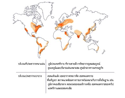 สรุปสังคม Soso 📍แจก ภูมิศาสตร์ ม ปลาย