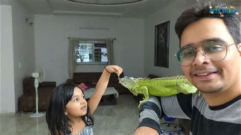 Mere Green Iguana T Rex Ko Bahar Nikala Lekin😅 Pets Vlog Hindi