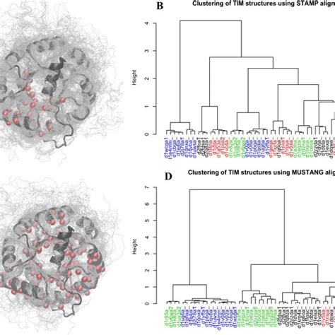 Elastic Network Models With Different Cut Offs Illustrates The Effect Download Scientific