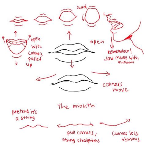 How To Draw A Face Drawing The Male And Female Head Front And 3 4 Artofit