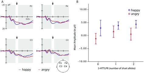 This Figure Shows The Grand Average Of The Erp Responses To Happy