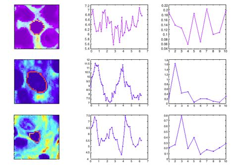 Fourier Descriptors For Different Nuclei Shapes Download Scientific