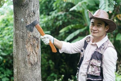 Man Cutting Tree Stock Photos Images And Backgrounds For Free Download