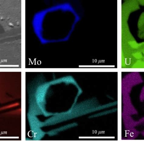 Scanning Electron Micrograph And Corresponding X Ray Maps Of The Phases