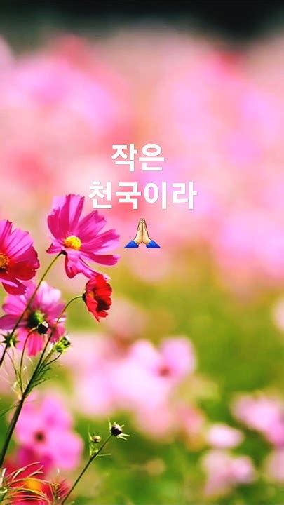 믿음의 가정은 복음성가 복음송 찬양 손경민 믿음의가정 천국 고난 기도 하나님 믿음 가정 행복 행복한가정 행복한 행복한가족 자연 자연풍경