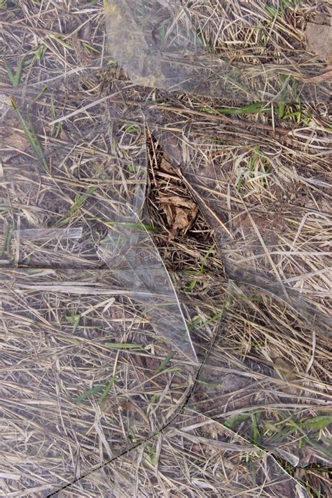 Shattered Glass On The Ground Abstract Background Textures Splinters