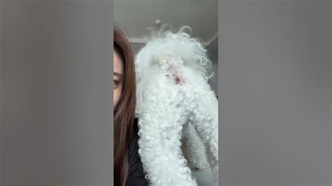 거 참 사진찍기 힘드네🙄 Youtube