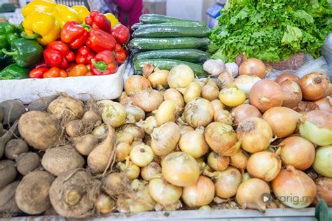 ТАНИЛЦ Шинэ ургацын хүнсний ногооны үзэсгэлэн худалдааны 17 байршил